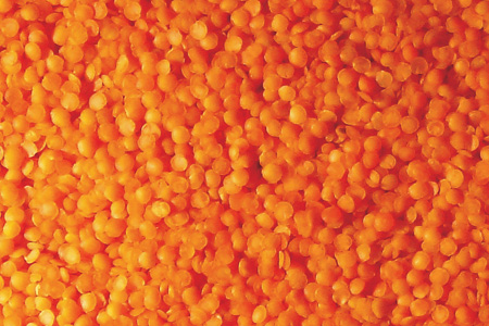 Red Split Lentils – Food for all